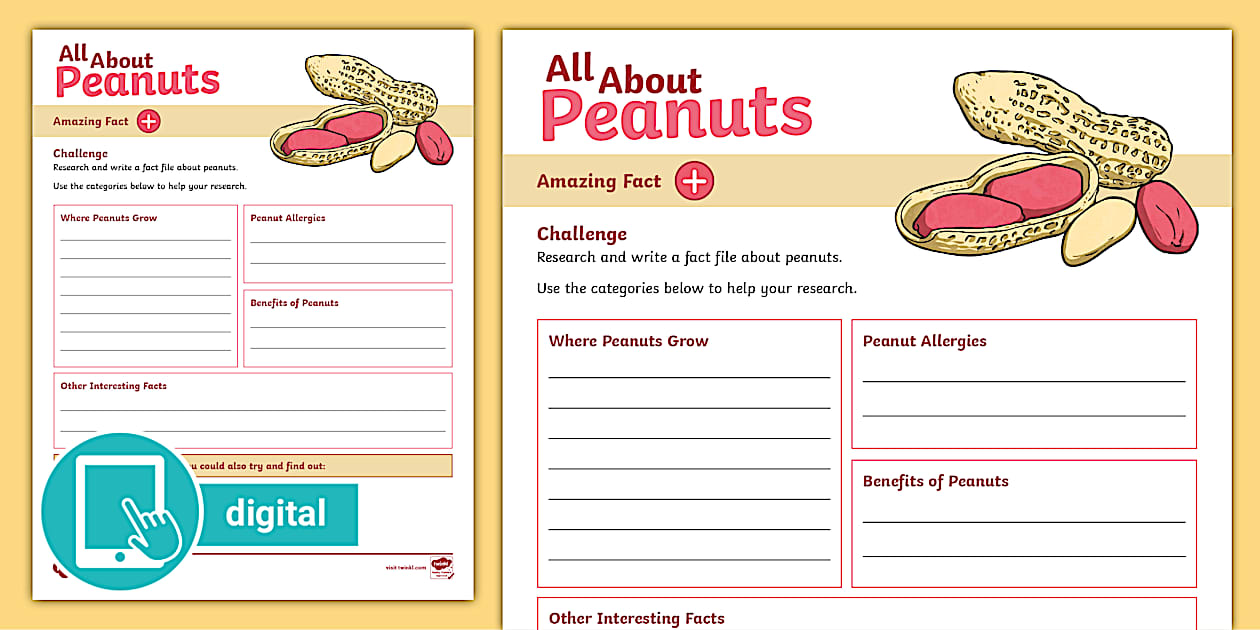 All About Peanuts Research Worksheet | Printable | Twinkl