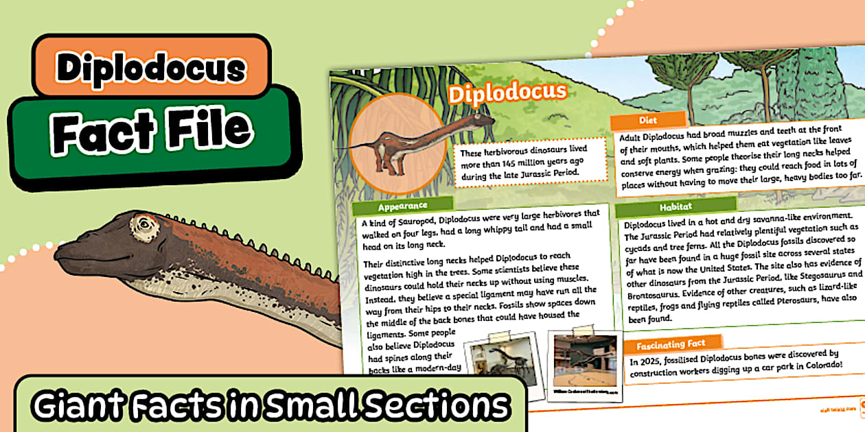 Diplodocus Fact File - KS2 Twinkl Science