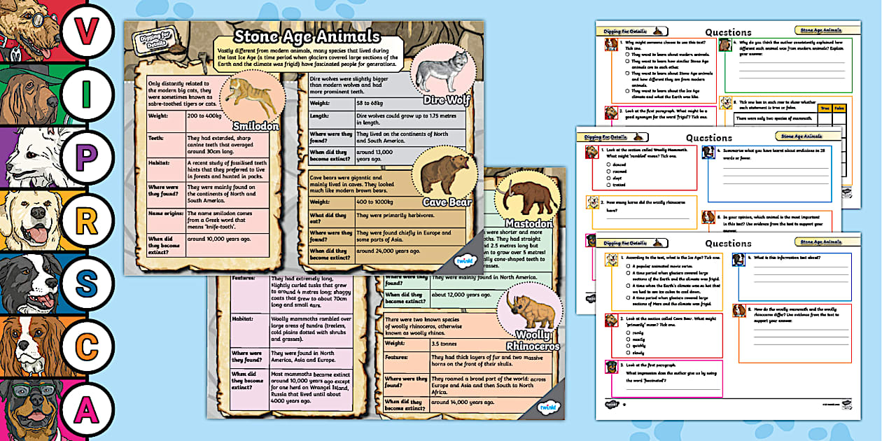 UKS2 Digging for Details: Stone Age Animals Infographic Comprehension ...