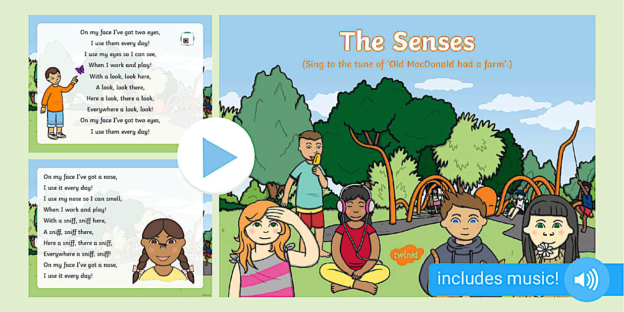 The Senses Song PowerPoint (teacher made) - Twinkl