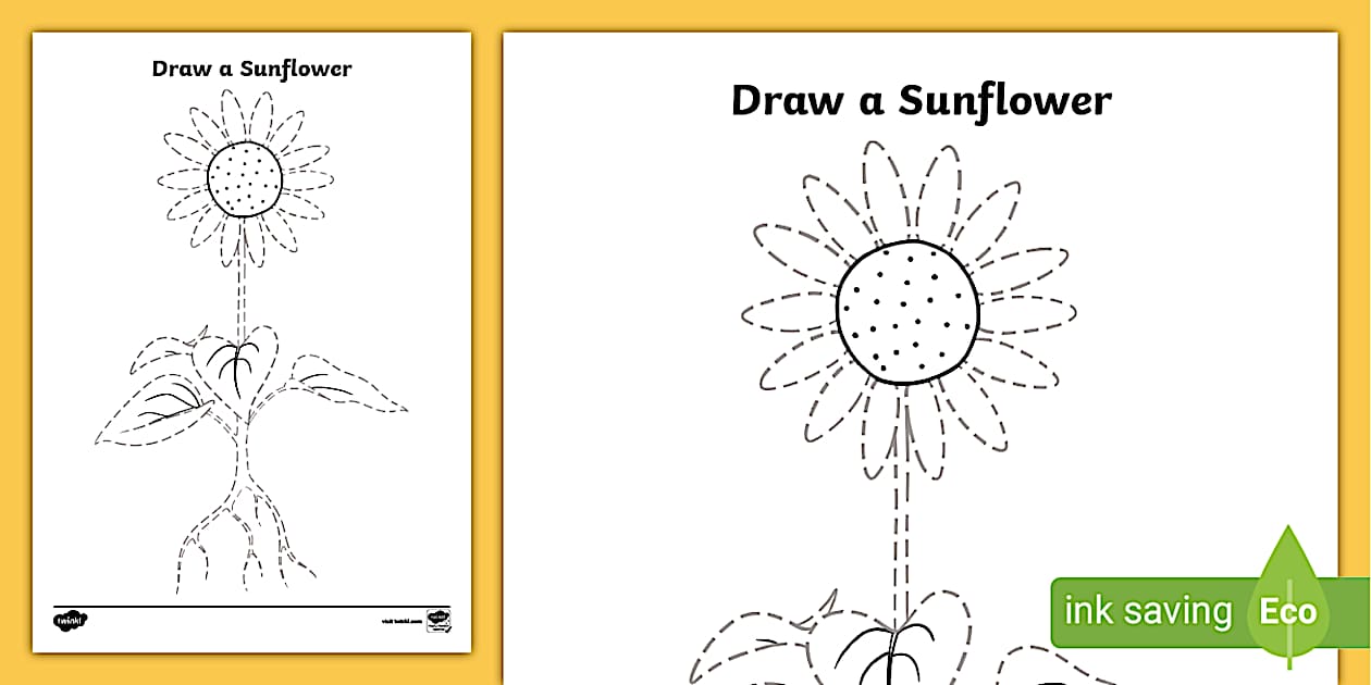 EYFS Draw a Sunflower Pencil Control Activity (teacher made)
