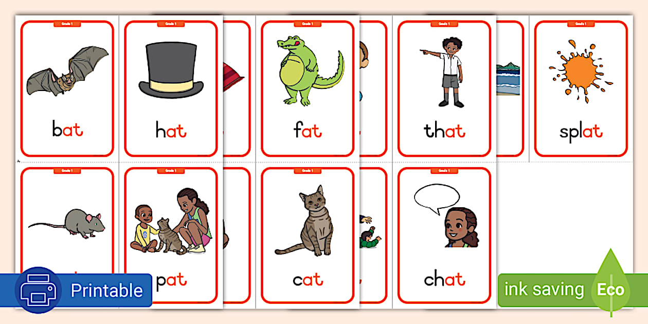 Grade 1 Phonics: -at Flashcards