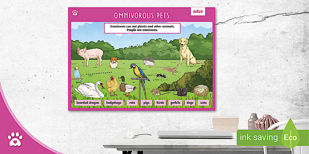 Omnivorous Pets Poster - Omnivores - Omnivore - Twinkl Pets