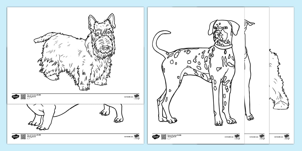 Dog Colouring Pages | Dog Colouring Templates | Art Activity