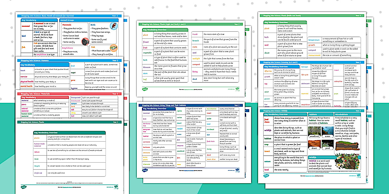 Stepping into Science: Year 2: Knowledge Organiser Pack