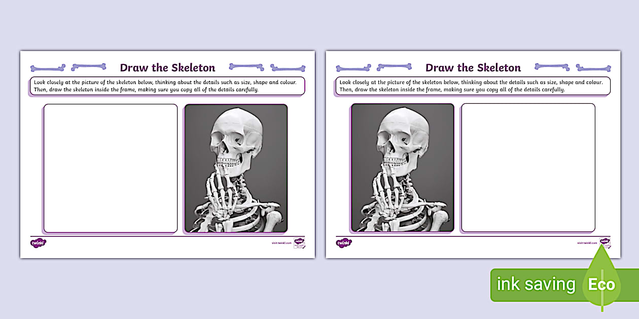 Draw the Skeleton Art Activity (Teacher-Made) - Twinkl