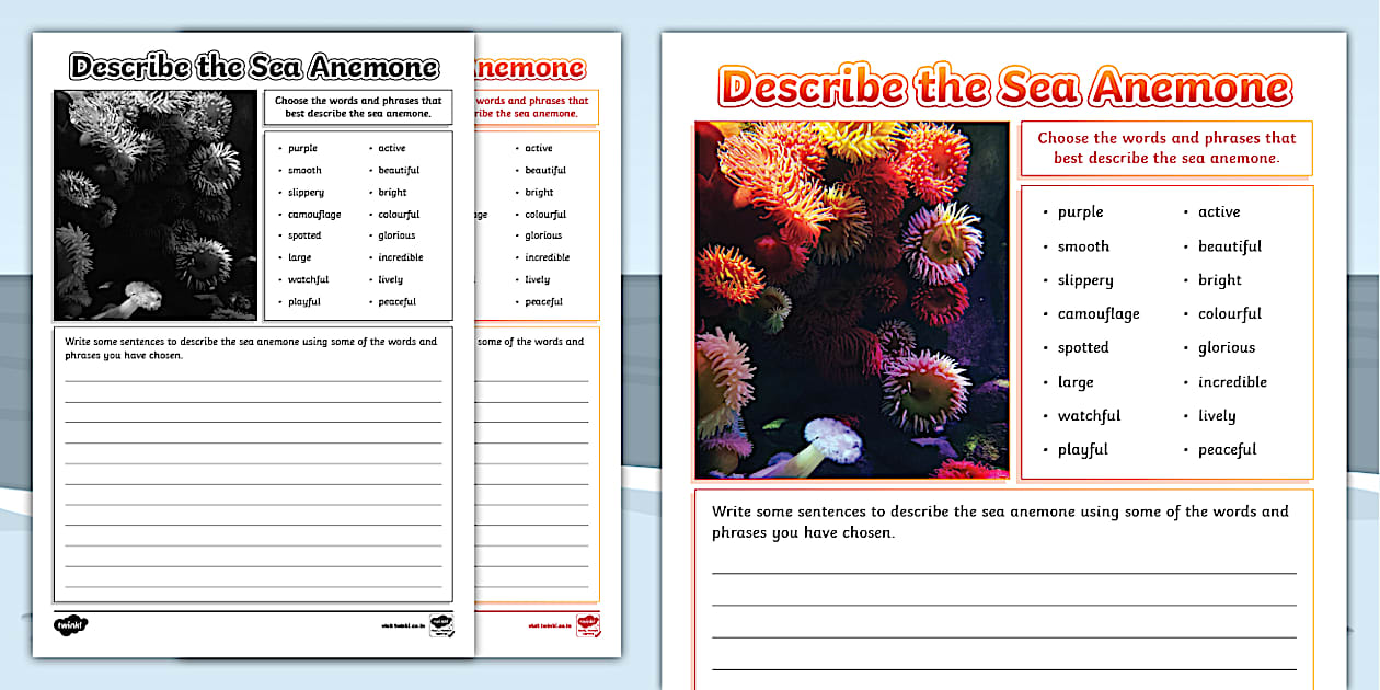 Describe the Sea Anemone Worksheet (teacher made) - Twinkl