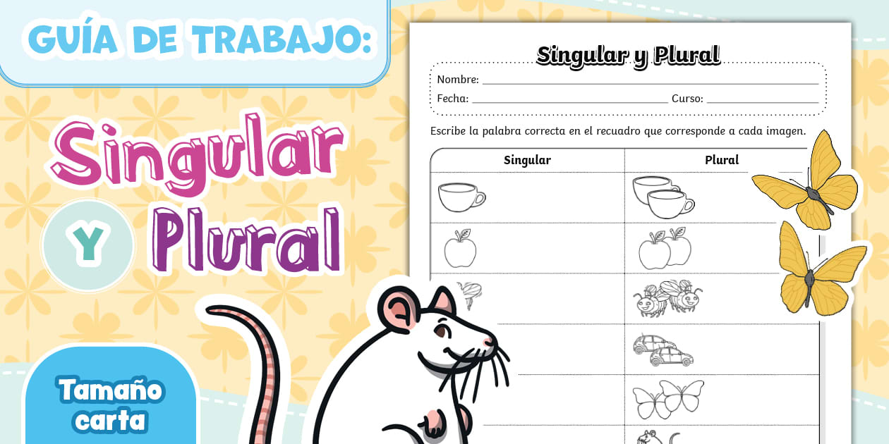 Guía de Trabajo | Singular y Plural | Ortografía - Twinkl