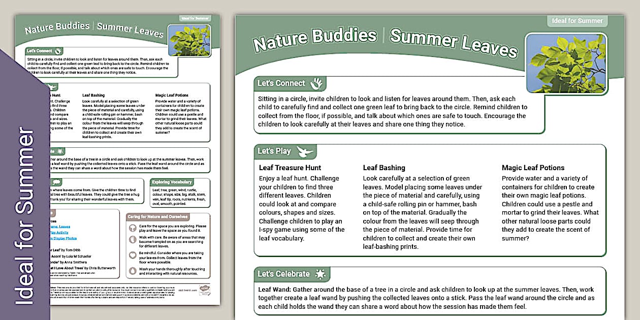 EYFS Nature Buddies Outdoor Learning: Summer Leaves - Twinkl