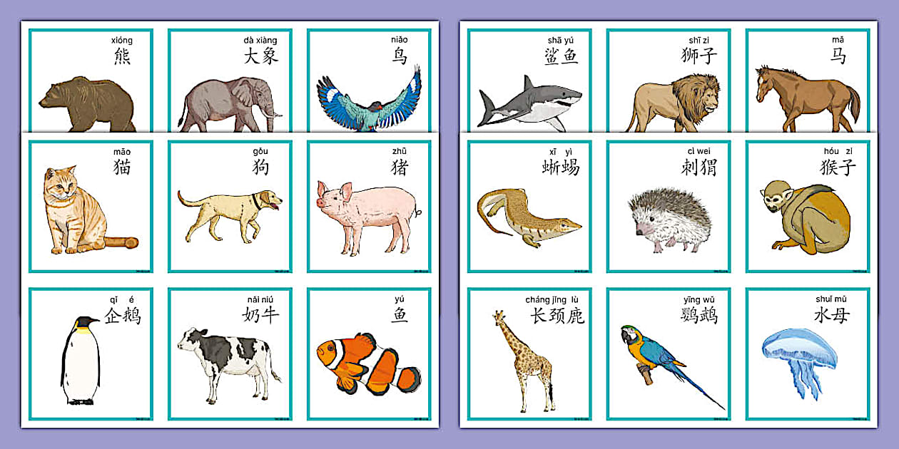 Singapore Mandarin with Pinyin Animal Picture Cards - Twinkl