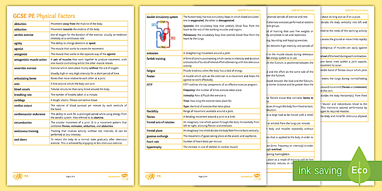GCSE PE: Physical Factors Glossary (teacher made) - Twinkl