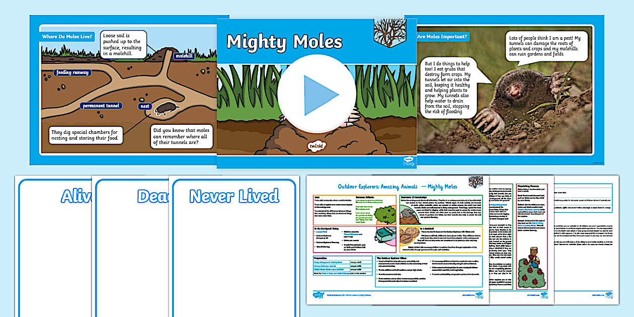 Outdoor Explorers: KS1 Winter Lesson 4 Mighty Moles - Twinkl