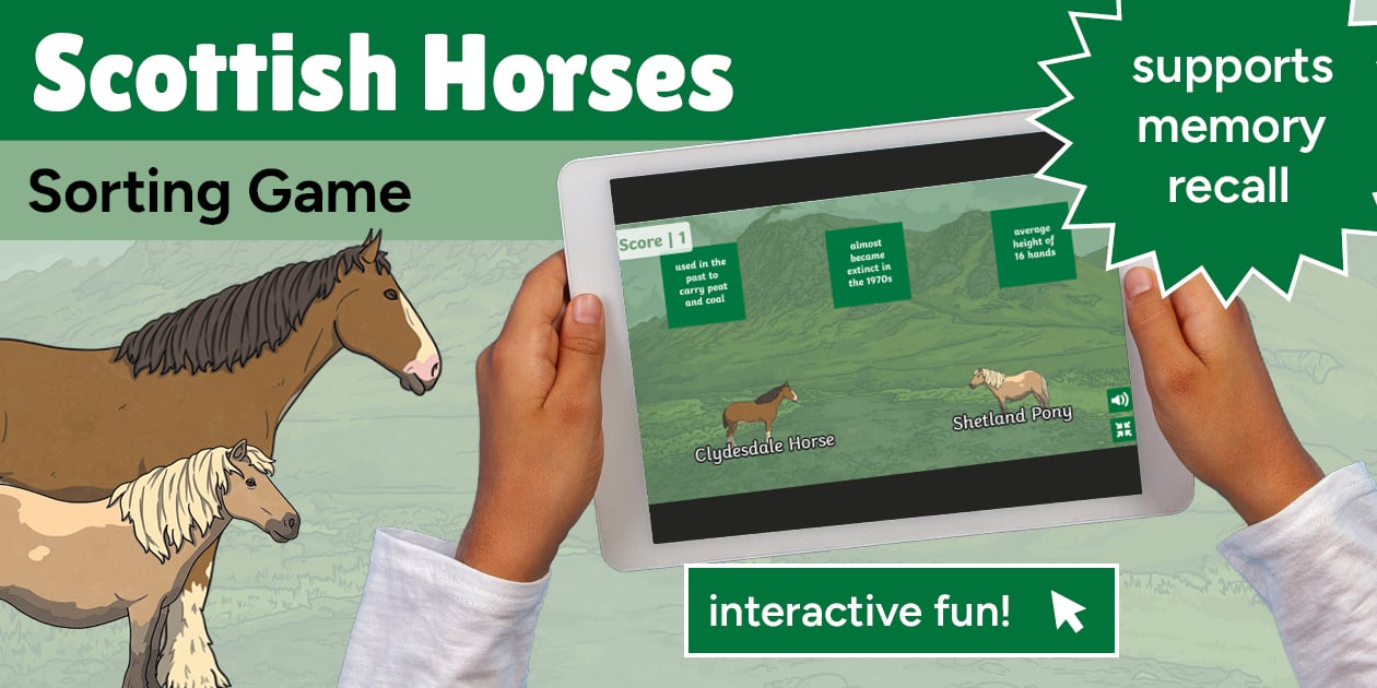 Chinese New Year: Scottish Horses Interactive Sorting Game