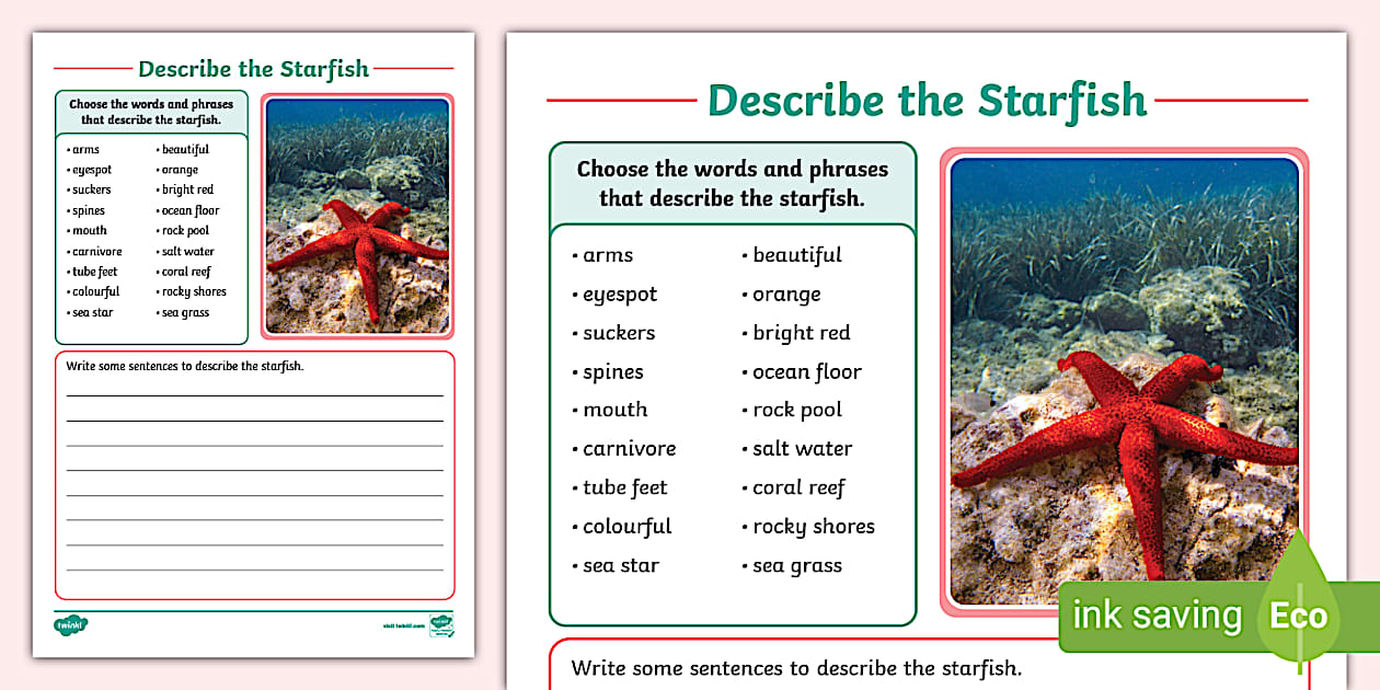 Describe the Starfish Writing Activity - KS1 - Twinkl