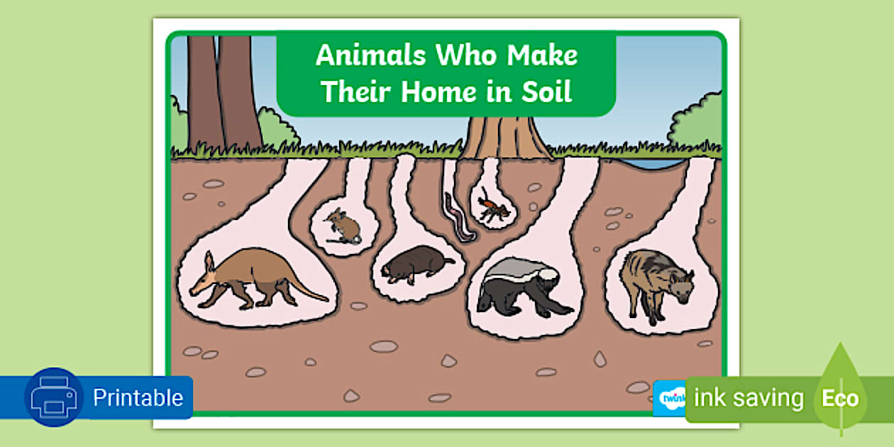 Animals Who Make Their Homes in Soil Poster (Teacher-Made)