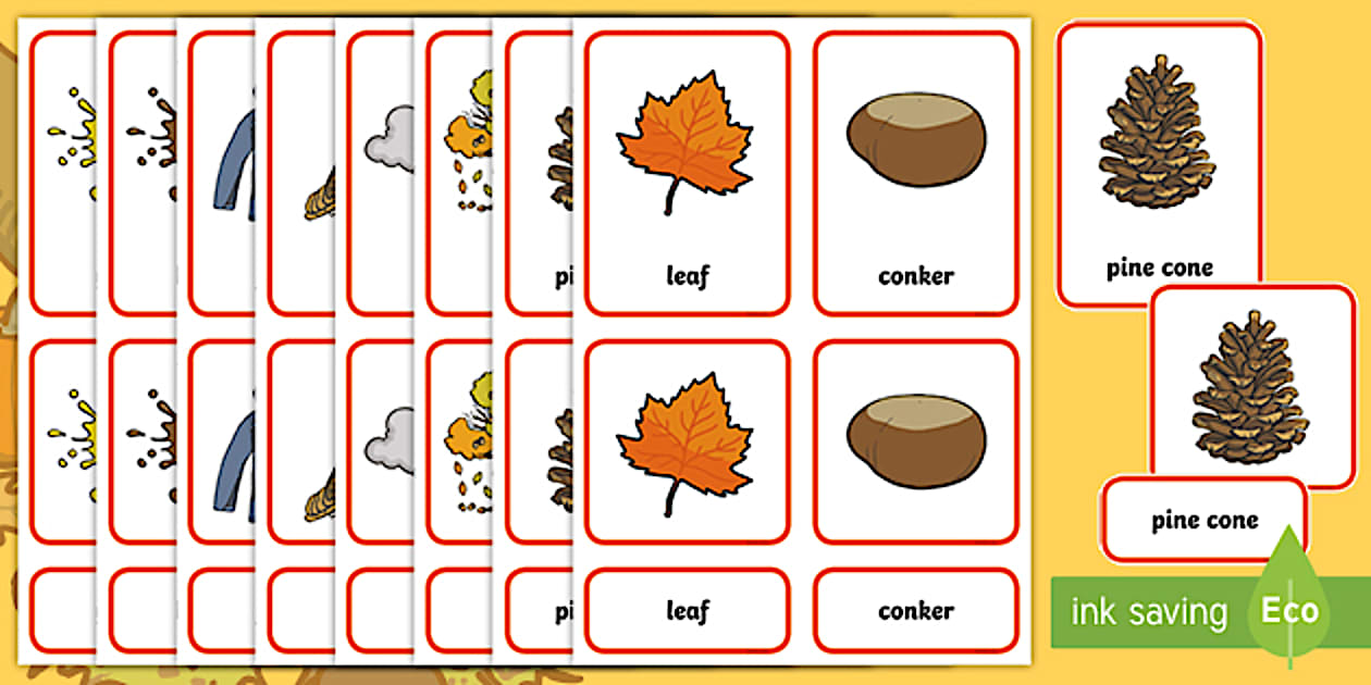 Autumn Montessori Three-Part Cards (teacher made) - Twinkl
