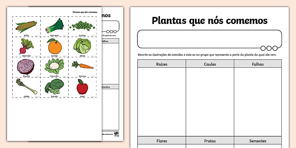 Plantas que nós comemos - Folha de atividade (teacher made)
