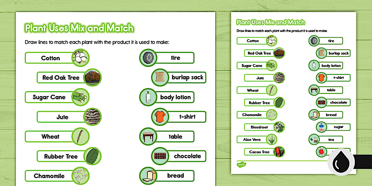 Plant Uses Matching Activity