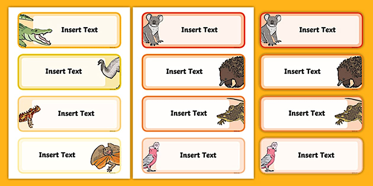Australian Animal Name Tags - Primary Resources - Twinkl