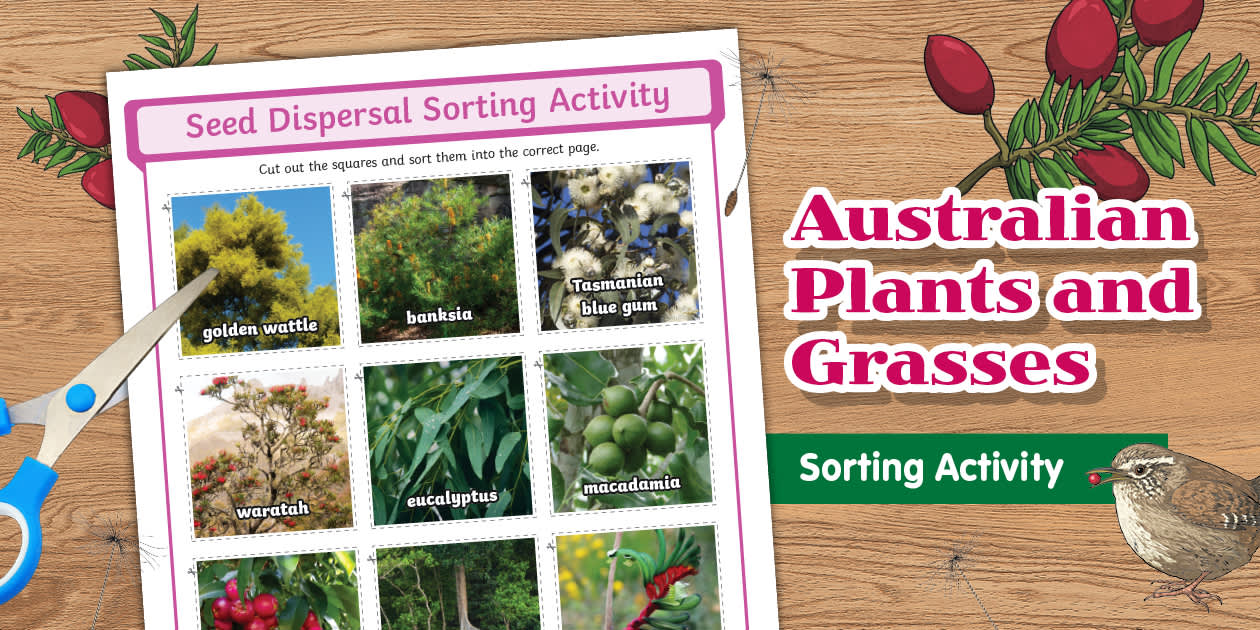 Seed Dispersal Sorting Activity for Australian Plants