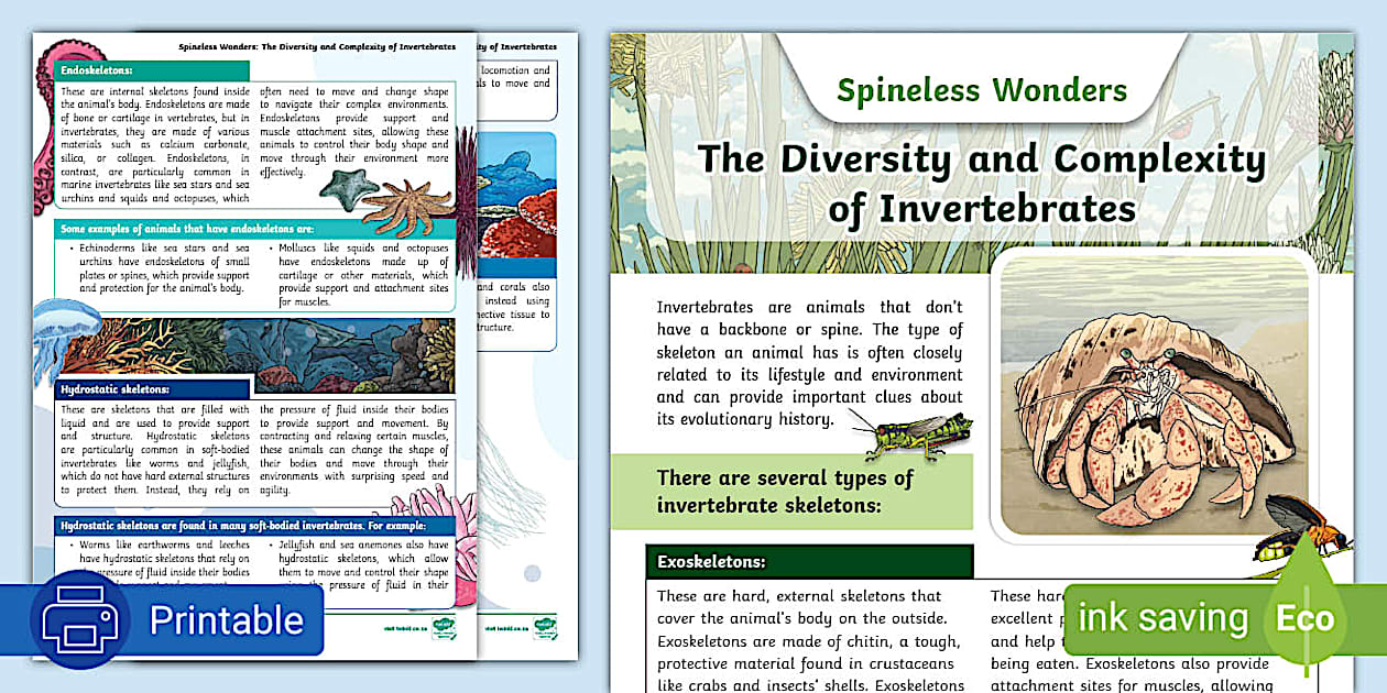 Spineless Wonders: Diversity and Complexity of Invertebrates
