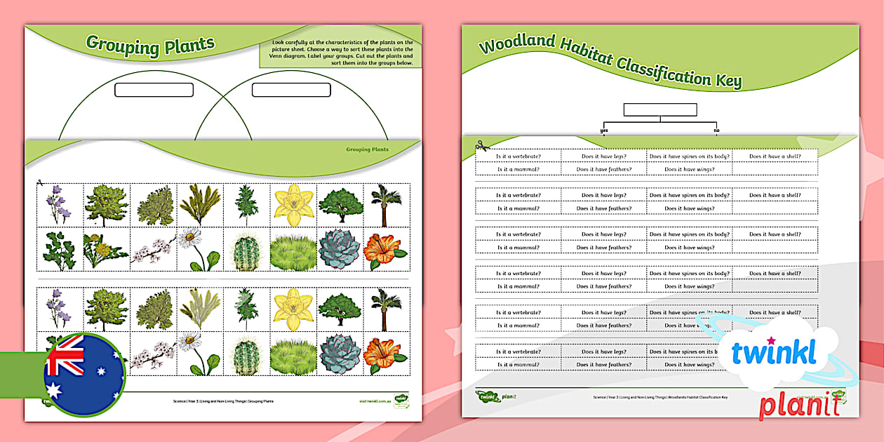 Y3 Science Living and Non-Living Things Home Learning Tasks