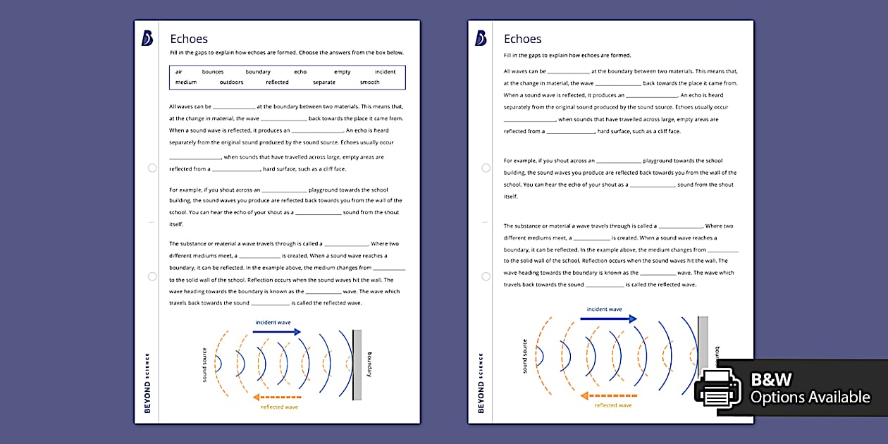Echoes Gap Fill | KS3 Science | Beyond Secondary - Twinkl