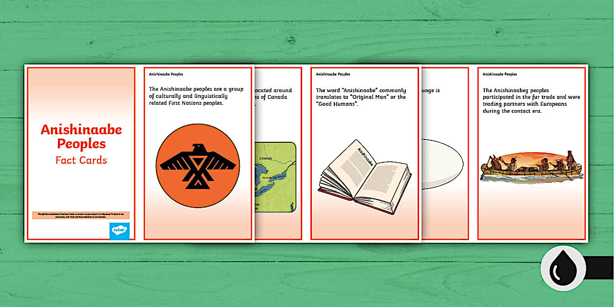 FREE! - Anishinaabe Fact Cards (teacher made) - Twinkl