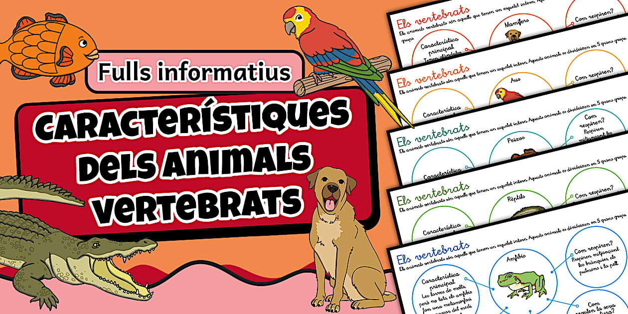 Fulls informatius: Característiques dels animals vertebrats - Català