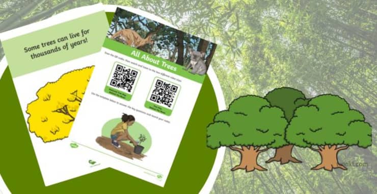 National Tree Day 2026 and Schools Tree Day 2026 | Australia