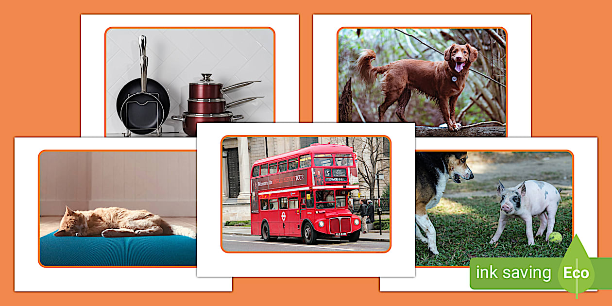 Phase 2 Phonics Caption Writing Photo Prompt Pack - Twinkl