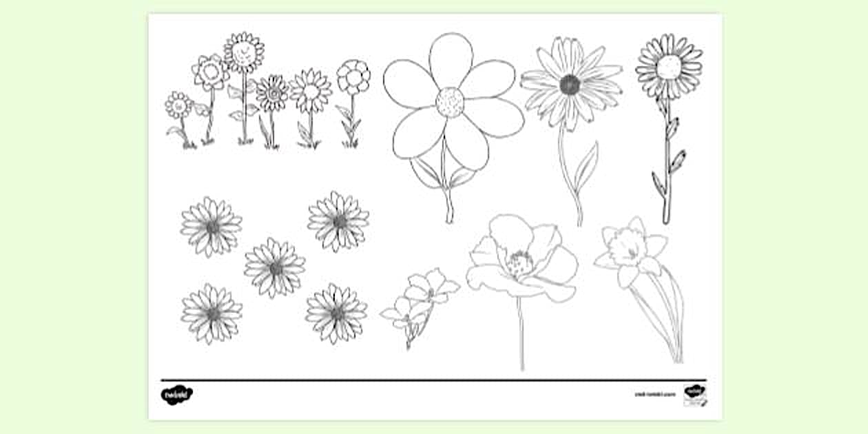 Small Flower Colouring Page – Colouring Activities for Kids