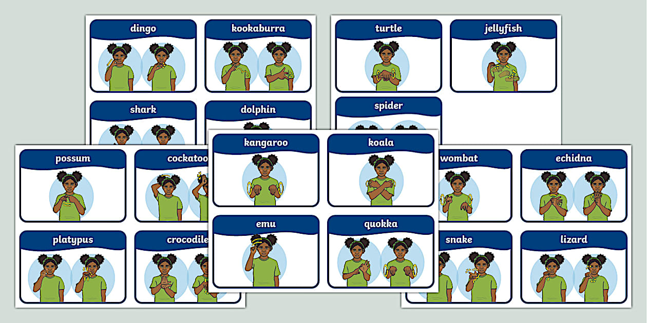 Auslan Australia Animals Word Cards