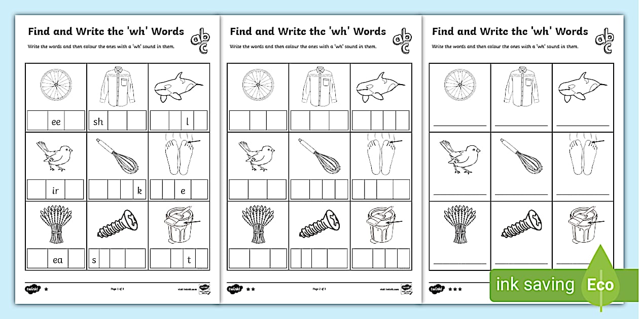 Find and Write the wh Words Differentiated Worksheet / Worksheets