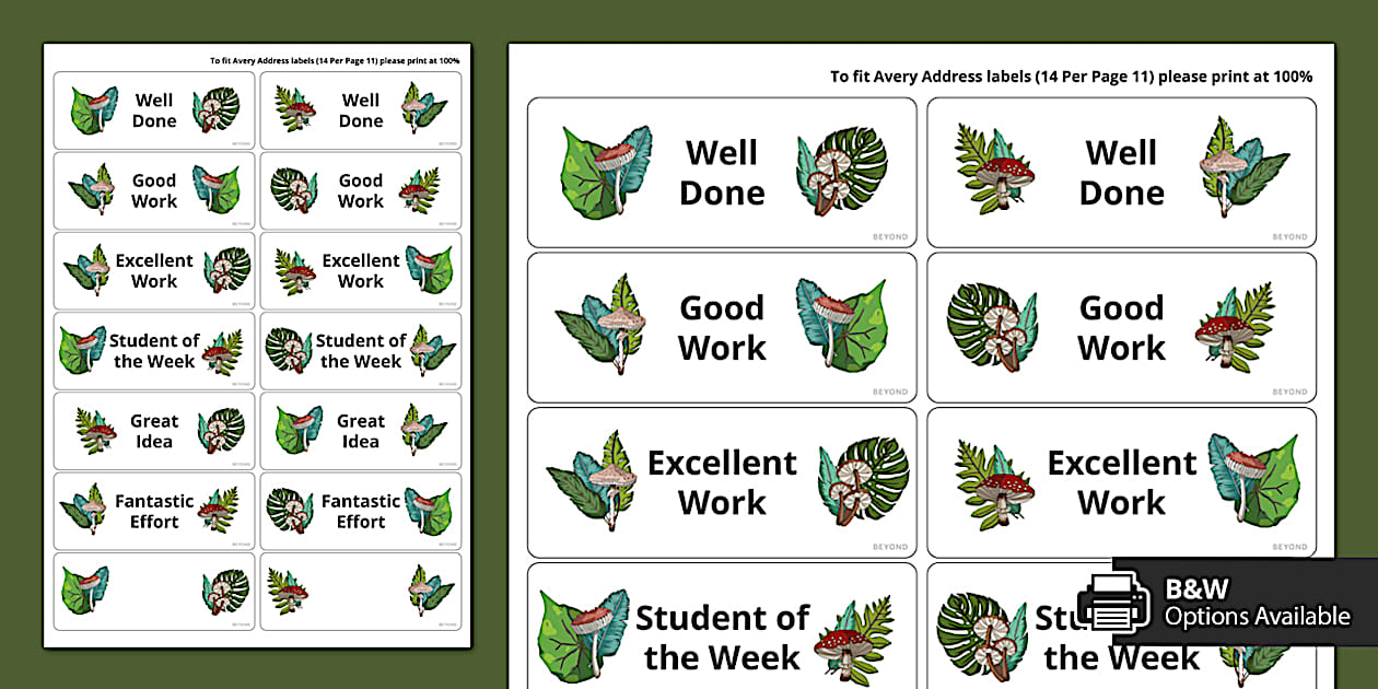 Botanical Themed Reward Stickers (teacher made) - Twinkl