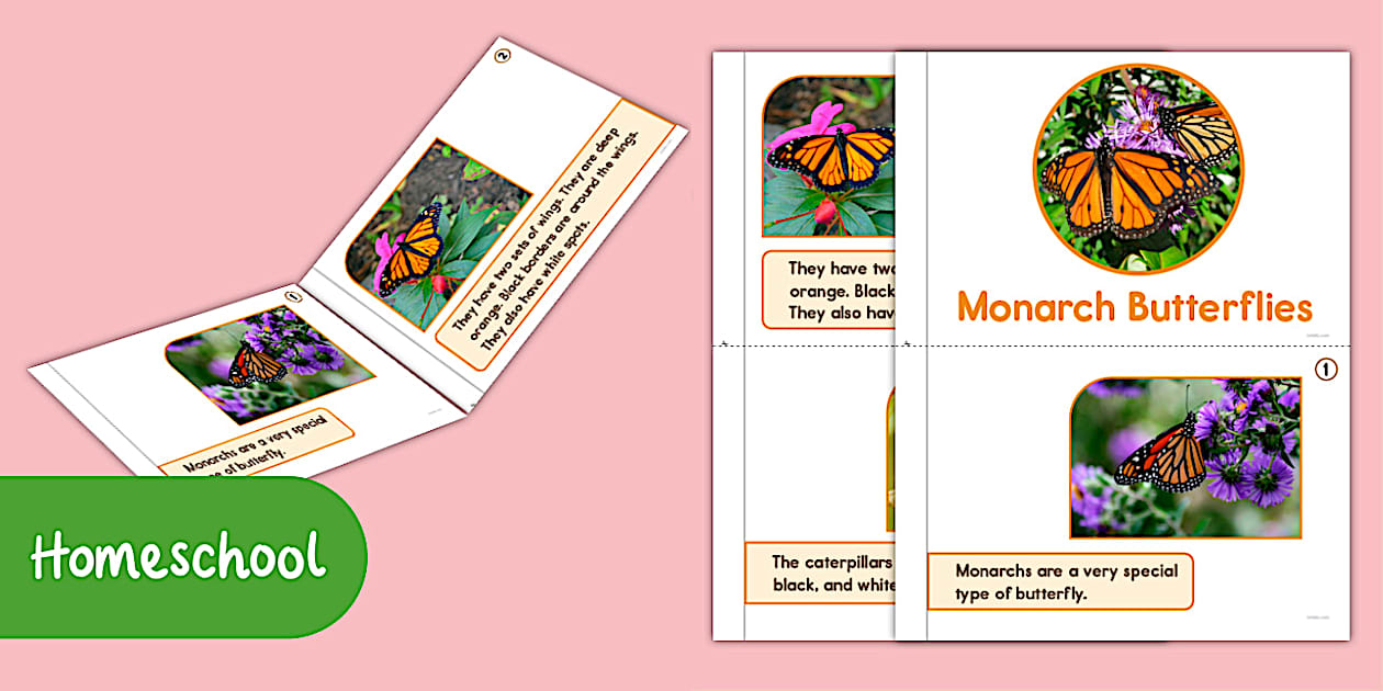 2nd Grade Monarch Butterfly Information Book | Twinkl USA