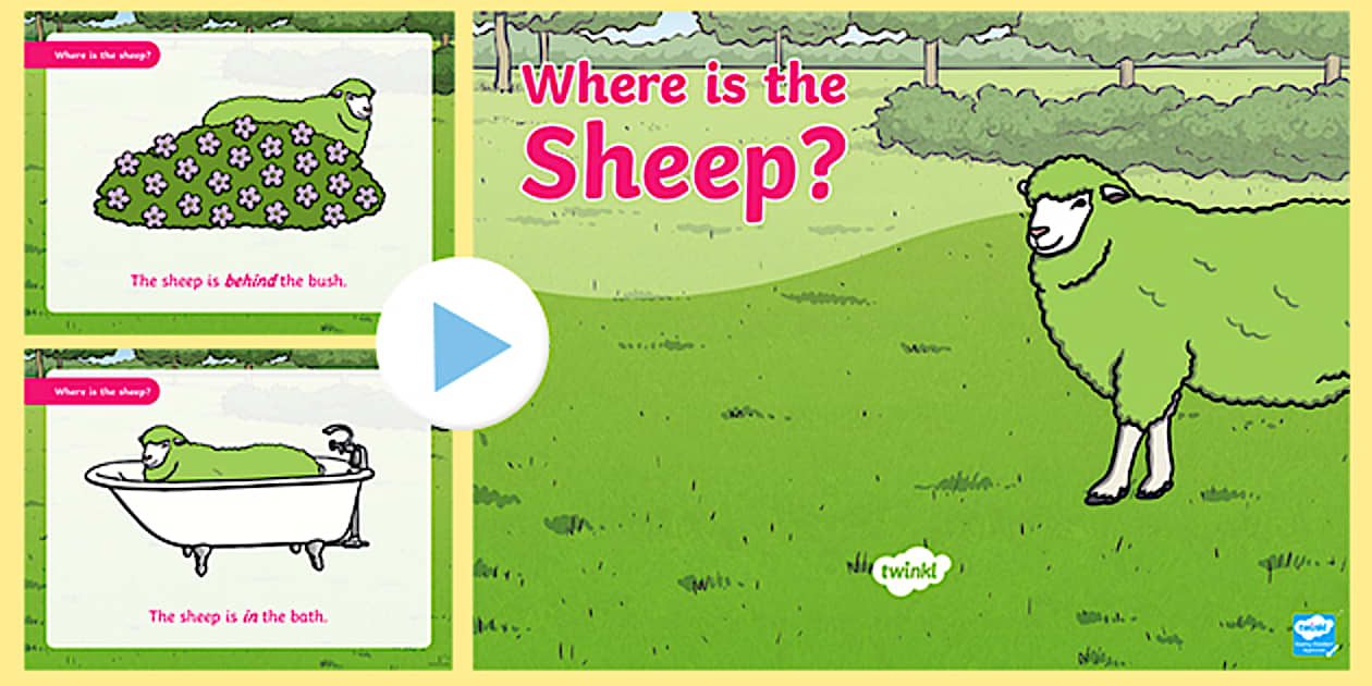 Black and White Where is the Sheep? Positional Language