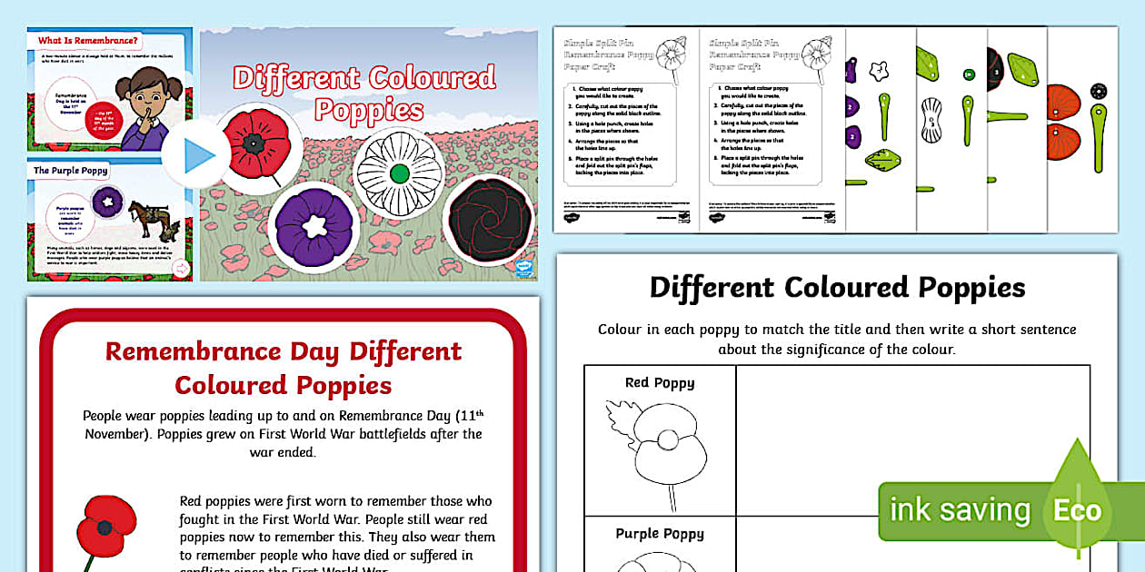 Remembrance Day - KS1 Different Coloured Poppies Activity Pack