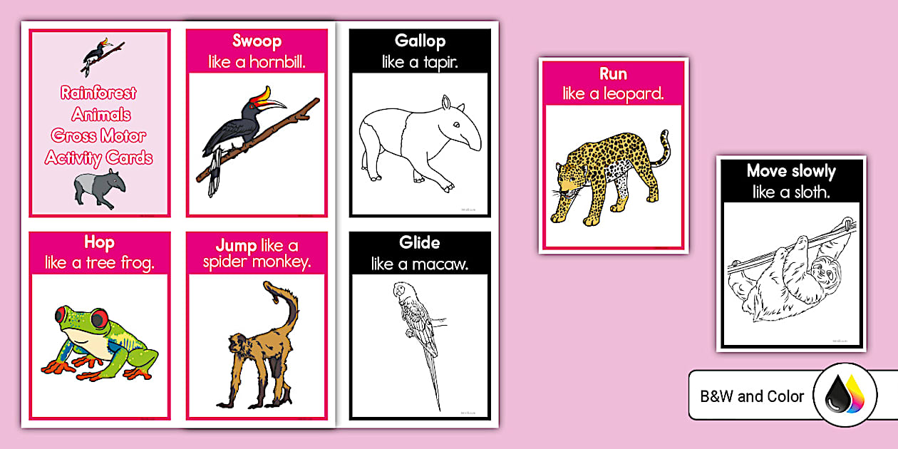 Rainforest Animals Gross Motor Activity Cards (Teacher-Made)