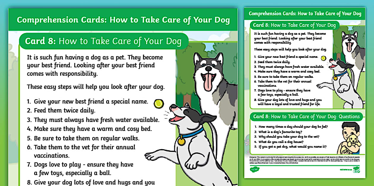 Comprehension Card: How to Take Care of Your Dog - Twinkl