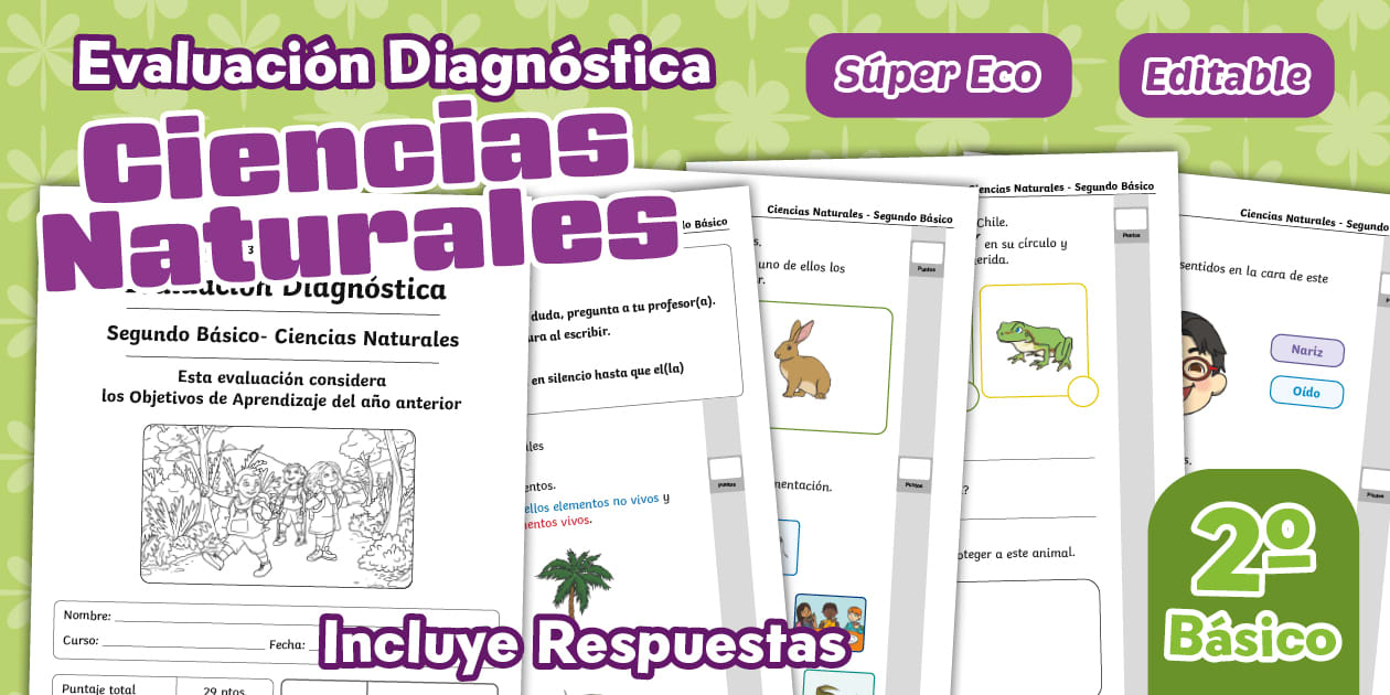 Prueba de Diagnóstico Segundo Básico Ciencias Naturales