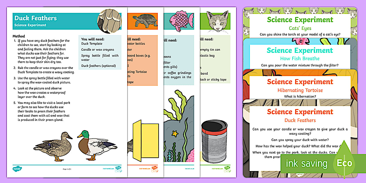 EYFS Pets Science Experiments Resource Pack (teacher made)