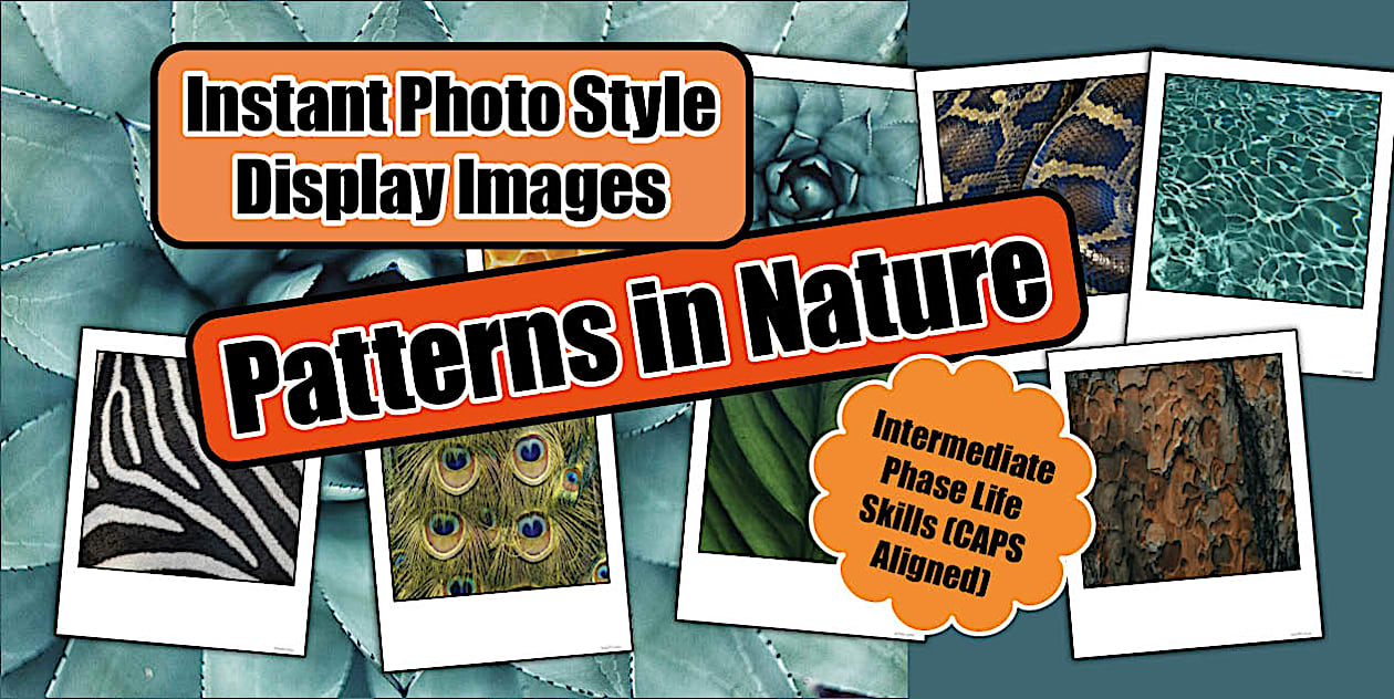 Patterns in Nature Instant Photo Style Display Images