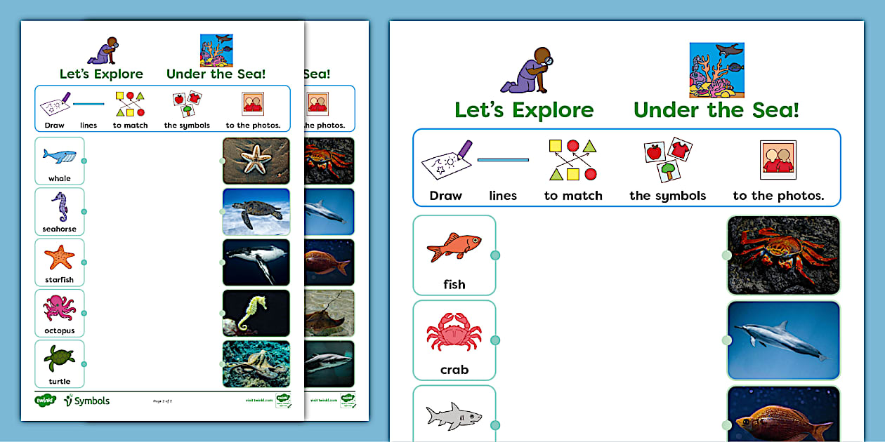 Twinkl Symbols: Let's Explore Under the Sea! Matching Activity