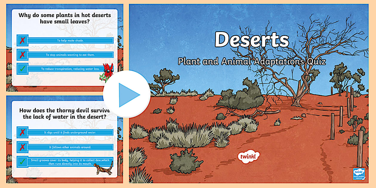 Desert Plant and Animal Adaptations Quiz PowerPoint - Twinkl