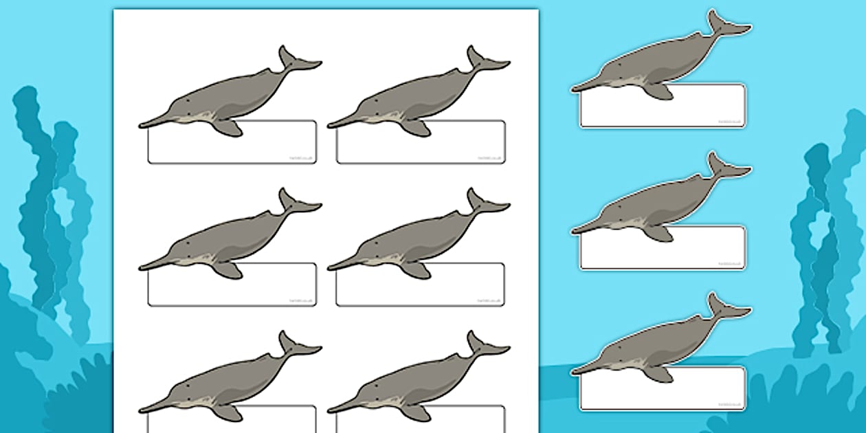 Editable River Dolphin Self-Registration Labels - Twinkl