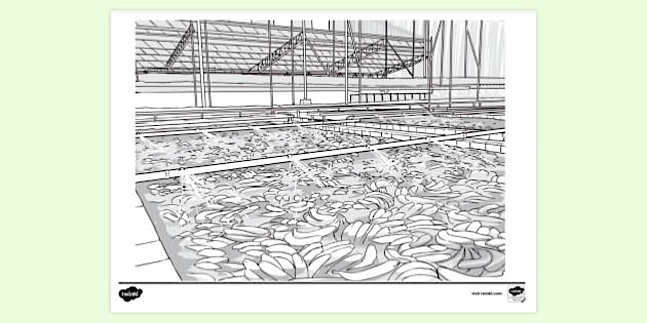 Colouring | Colouring Sheets (Teacher-Made) - Twinkl