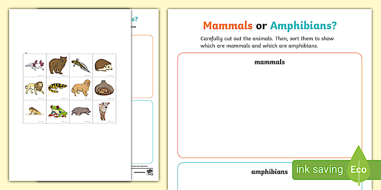 Mammals or Amphibians Sorting Activity - Twinkl