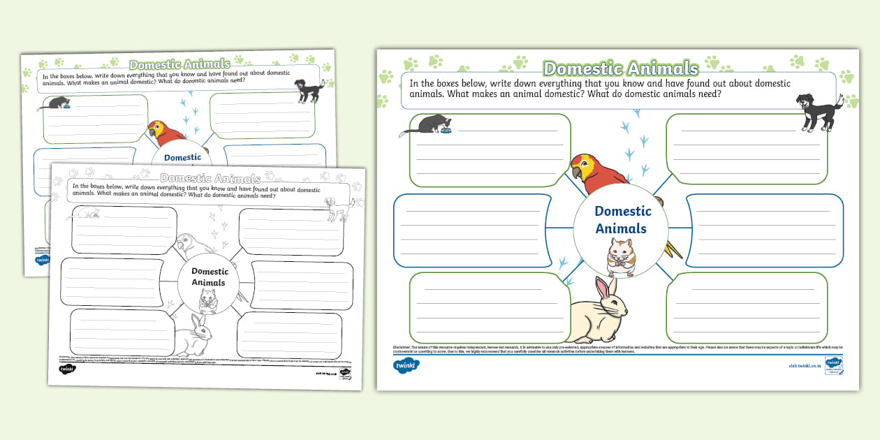 Domestic Animals Mind Map (phát triển bởi giáo viên)