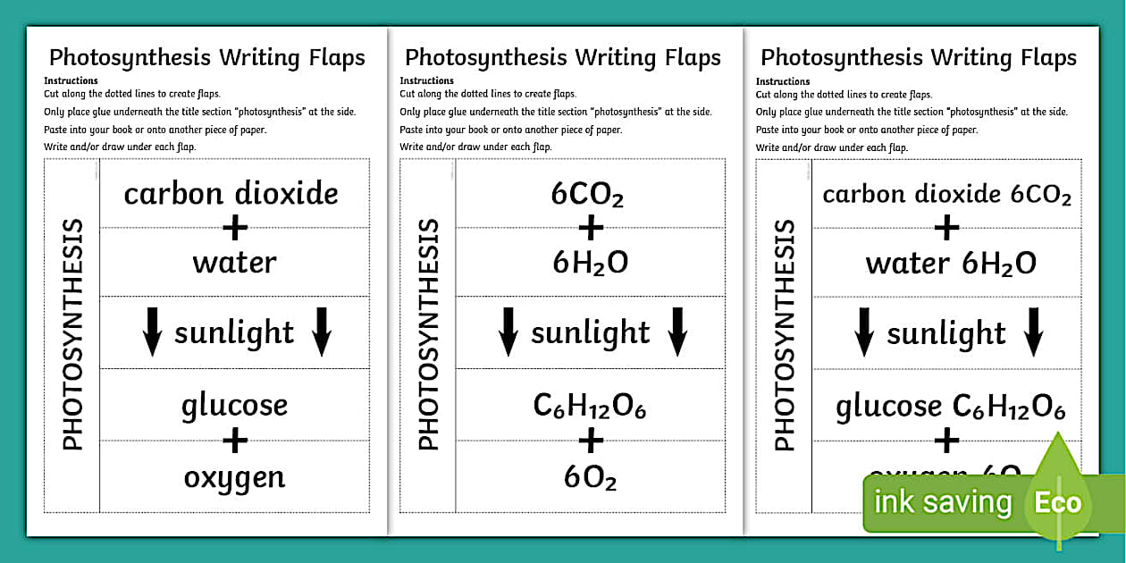 Photosynthesis Writing Flaps (teacher made) - Twinkl